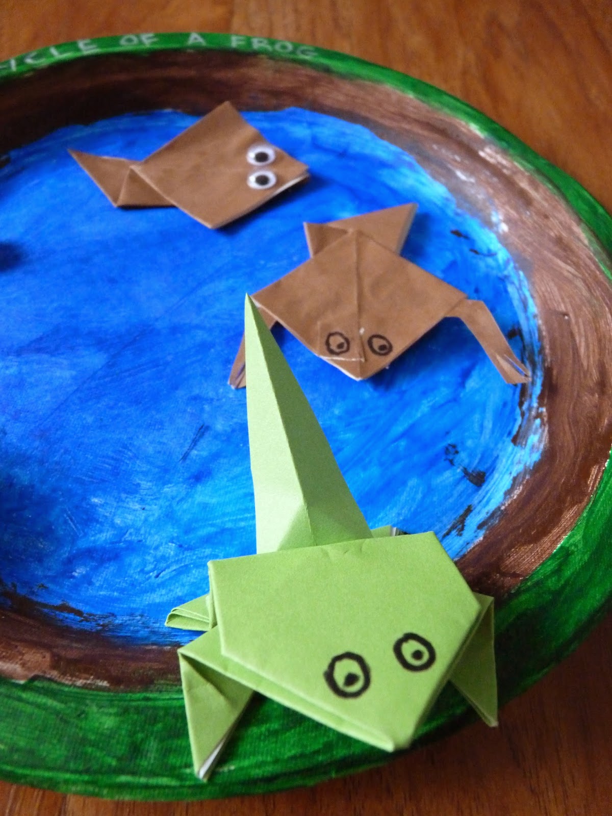 Life cycle of a frog origami