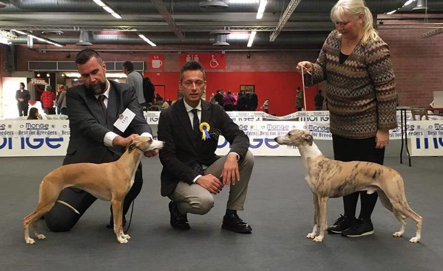 Hrtovi: јануар 2016