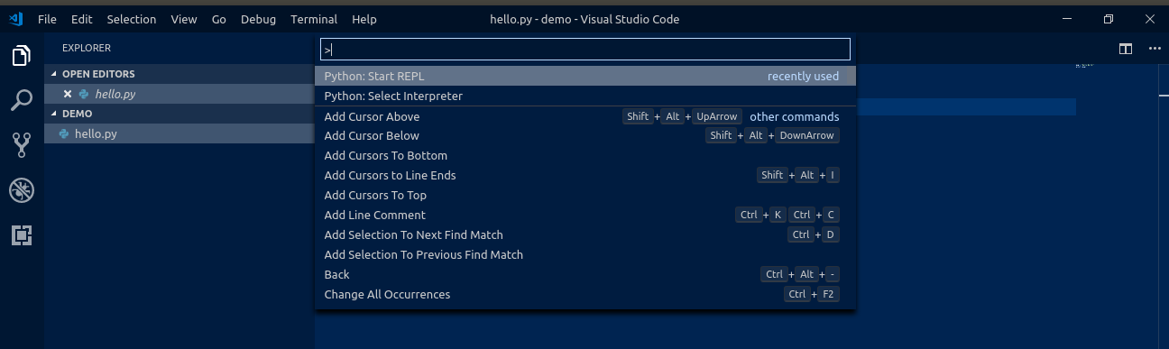 Beginner's Guide: Python in Visual Studio Code (For Ubuntu)
