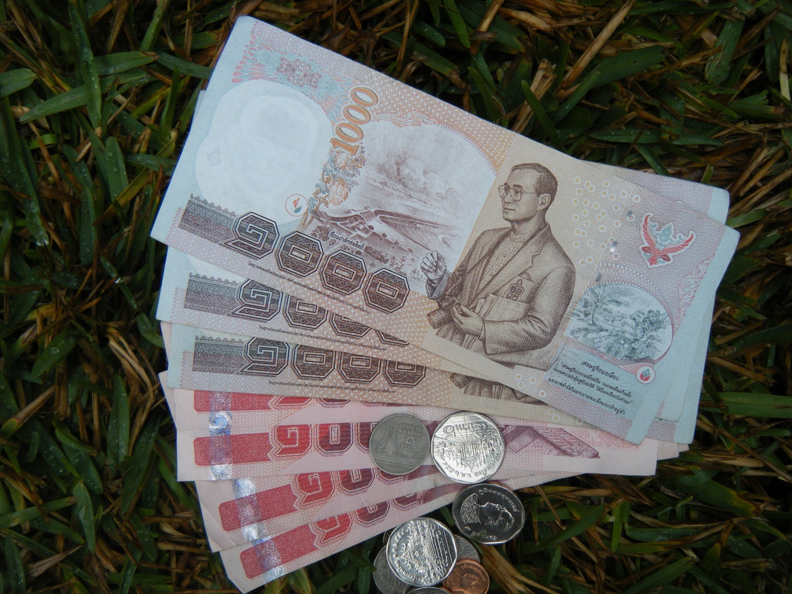 naam-bplah-despite-foreign-intervention-thai-baht-expected-to-fall