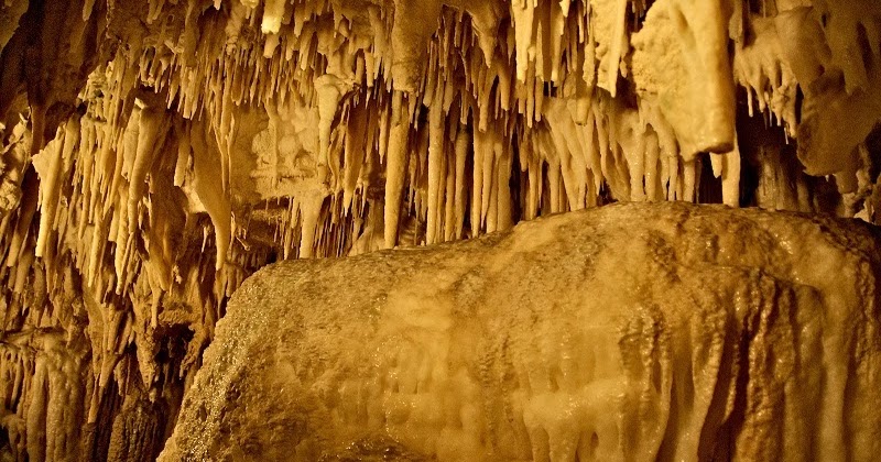 Visit The Unique Waitomo Caves in New Zealand
