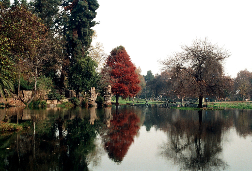 Caminar BCN 2012-13 Tardor: Parque O'Higgins_Santiago de Chile