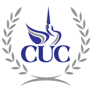 Diana Laura Gonzalez: Ensayo "reingenieria, outsourcing y benchmarking"