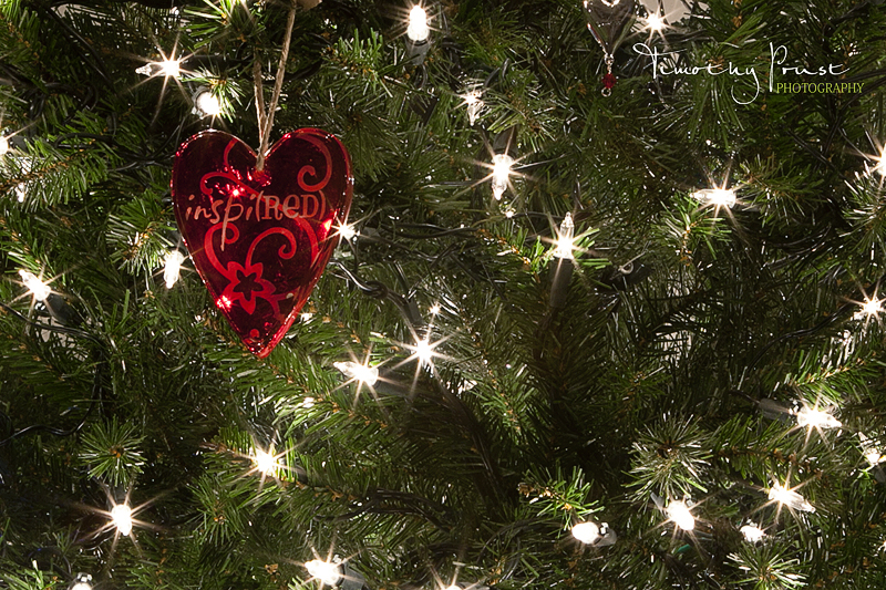 Timothy Prust Photography: Photographing Your Christmas Tree | Tutorial ...