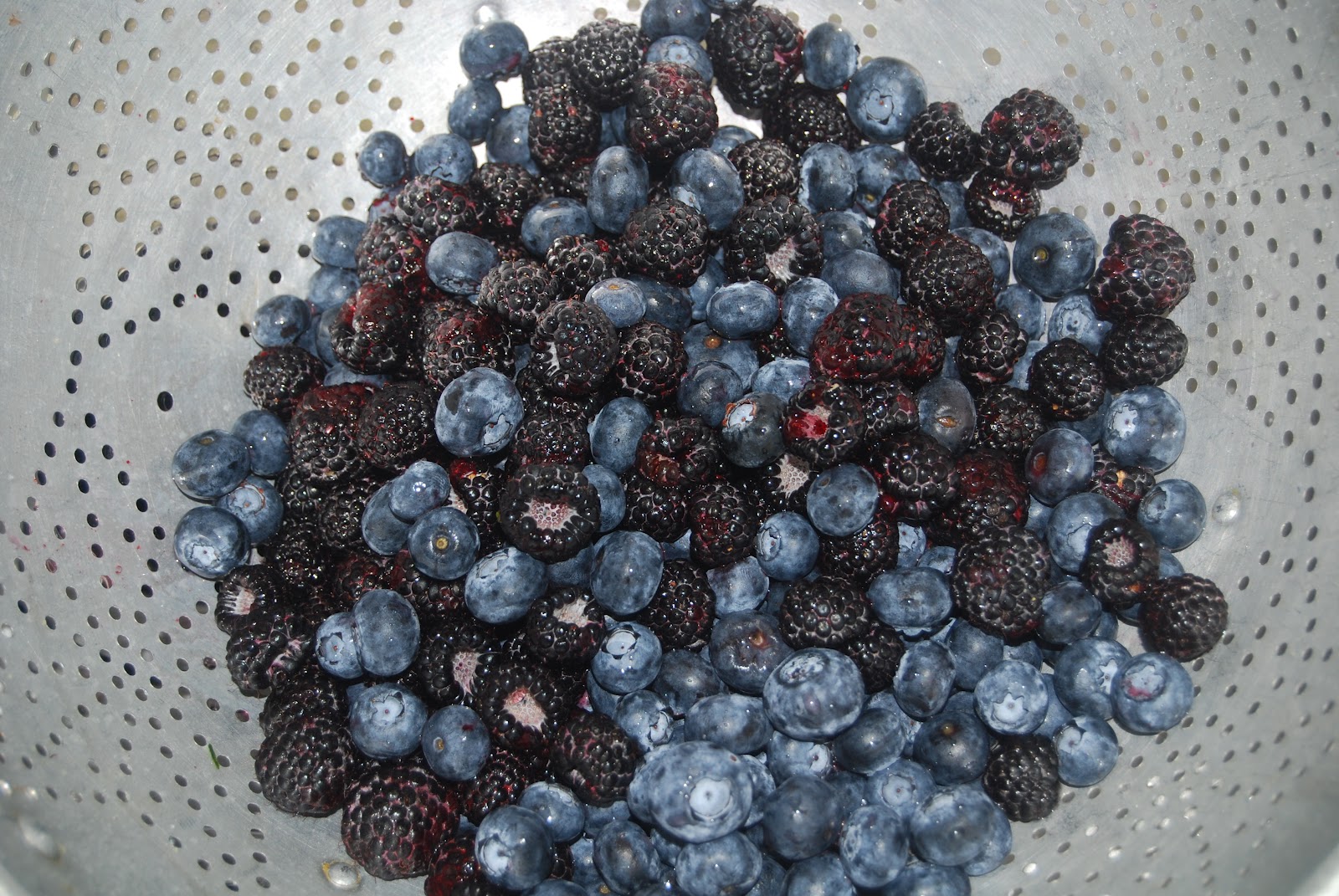 Good Food Happy Man: Blueberry and Black Raspberry Pie