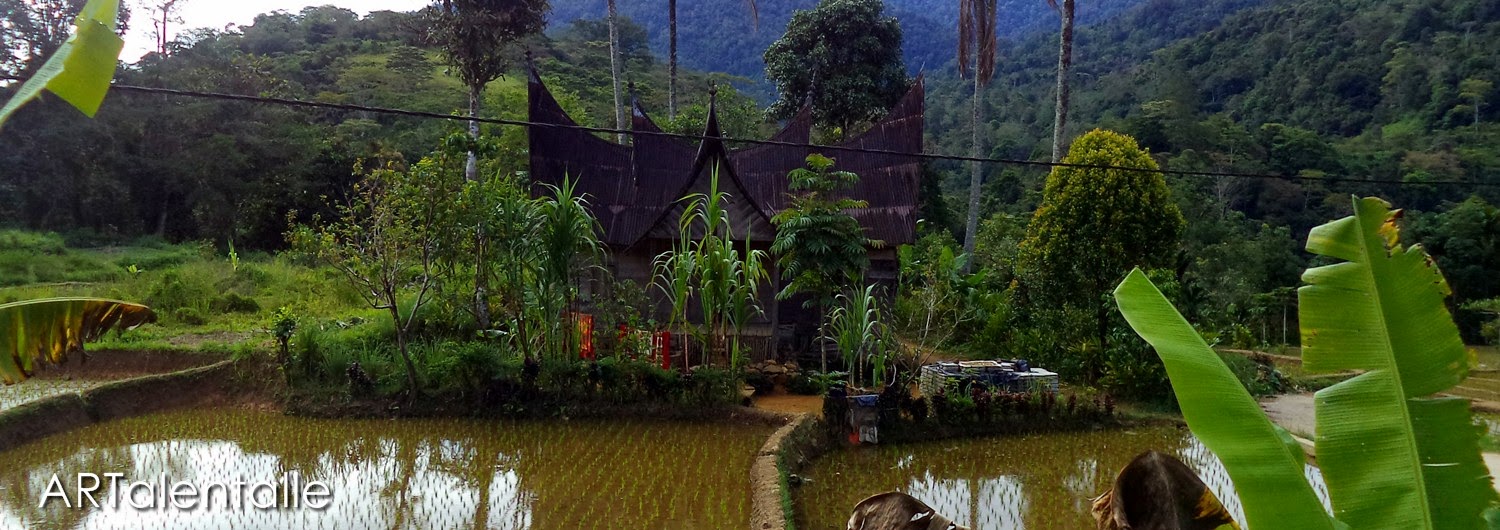 Padangsche Bovenlanden: SOLOK Part.10 'Taratak Nagari Surian'