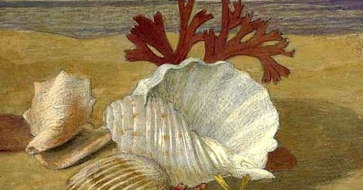 A Still Life Collection: Maxwell Armfield (1881-1972)