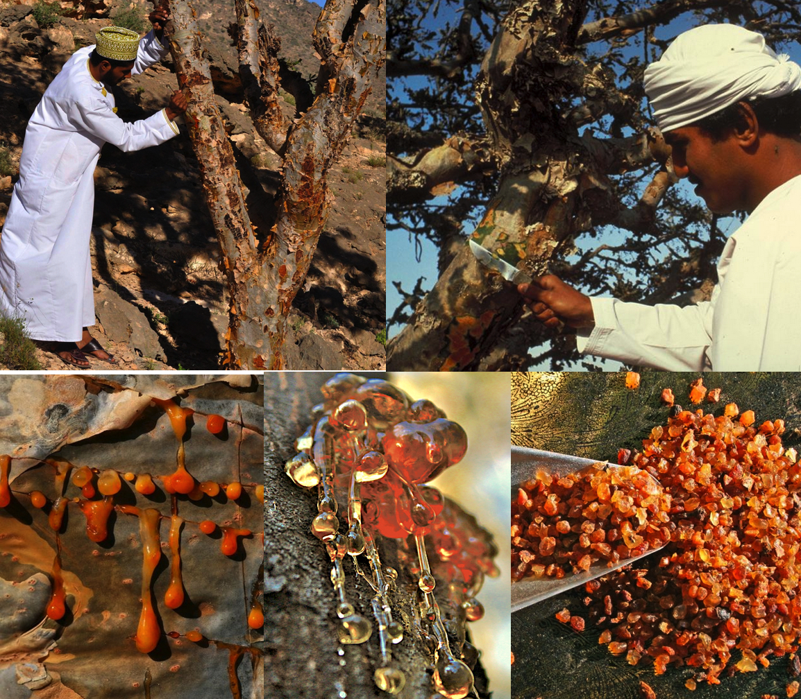 NephiCode: Not After the Manner of Men – Part II