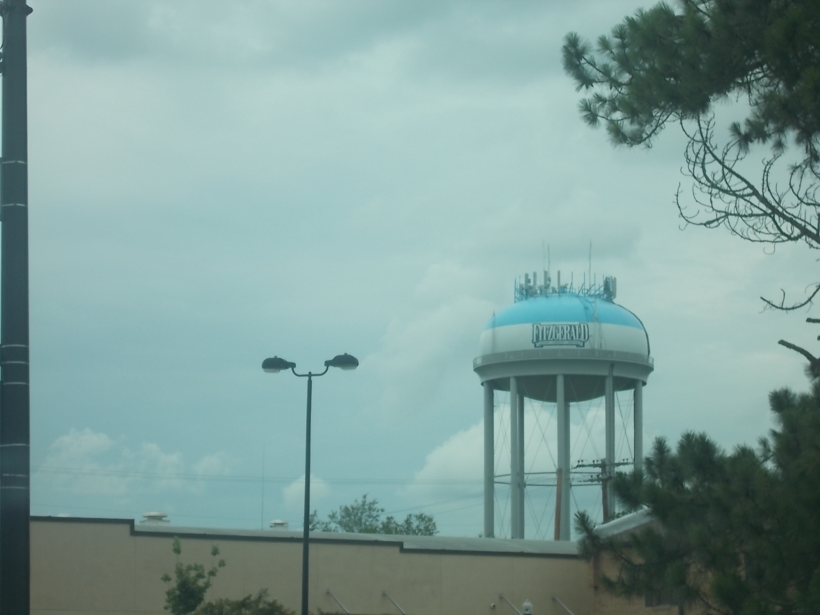 Journey Through Georgia: Below the Gnat Line