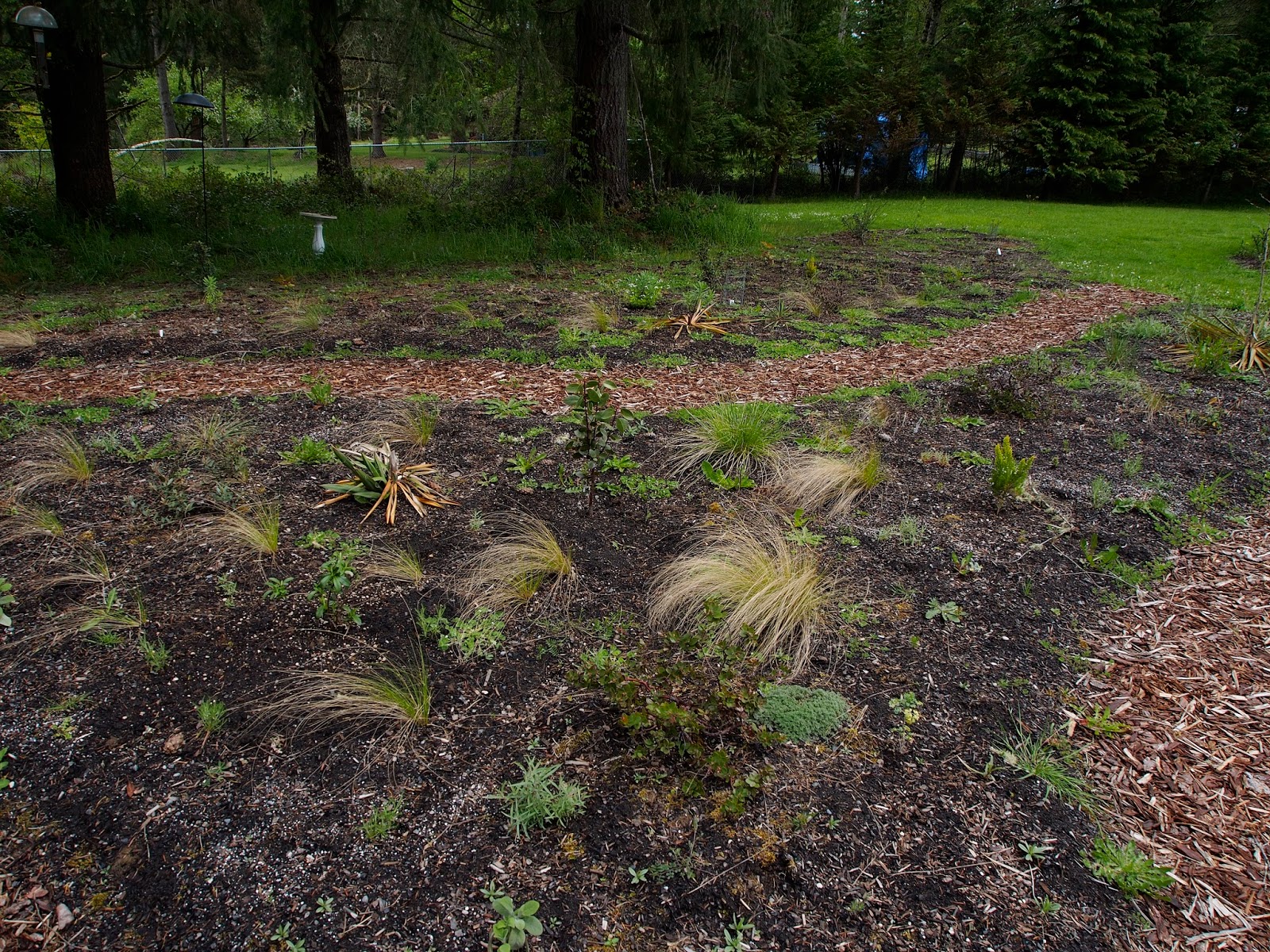 Wednesday Wide Shots