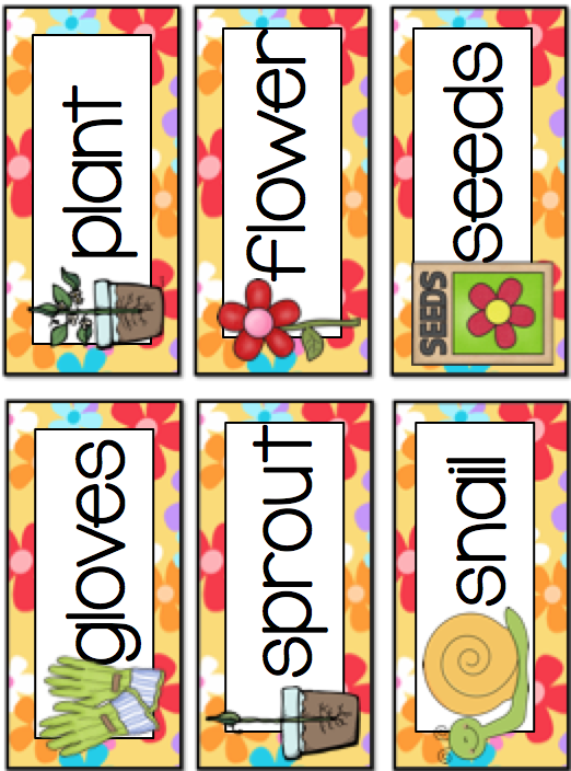 1st Grade Hip Hip Hooray!: Exploring Plants and Animals...NGSS