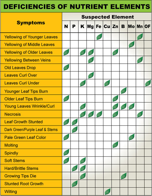 Nutrient Deficiency Symptoms | Agriculture Information Bank
