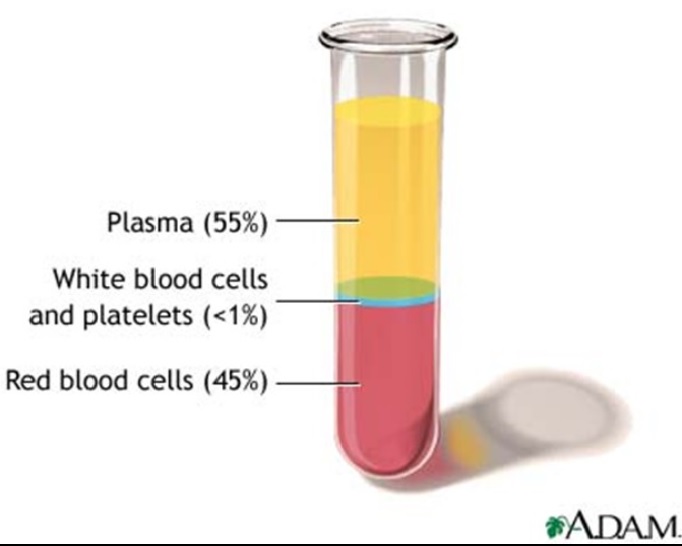 Micro-World: BO type blood