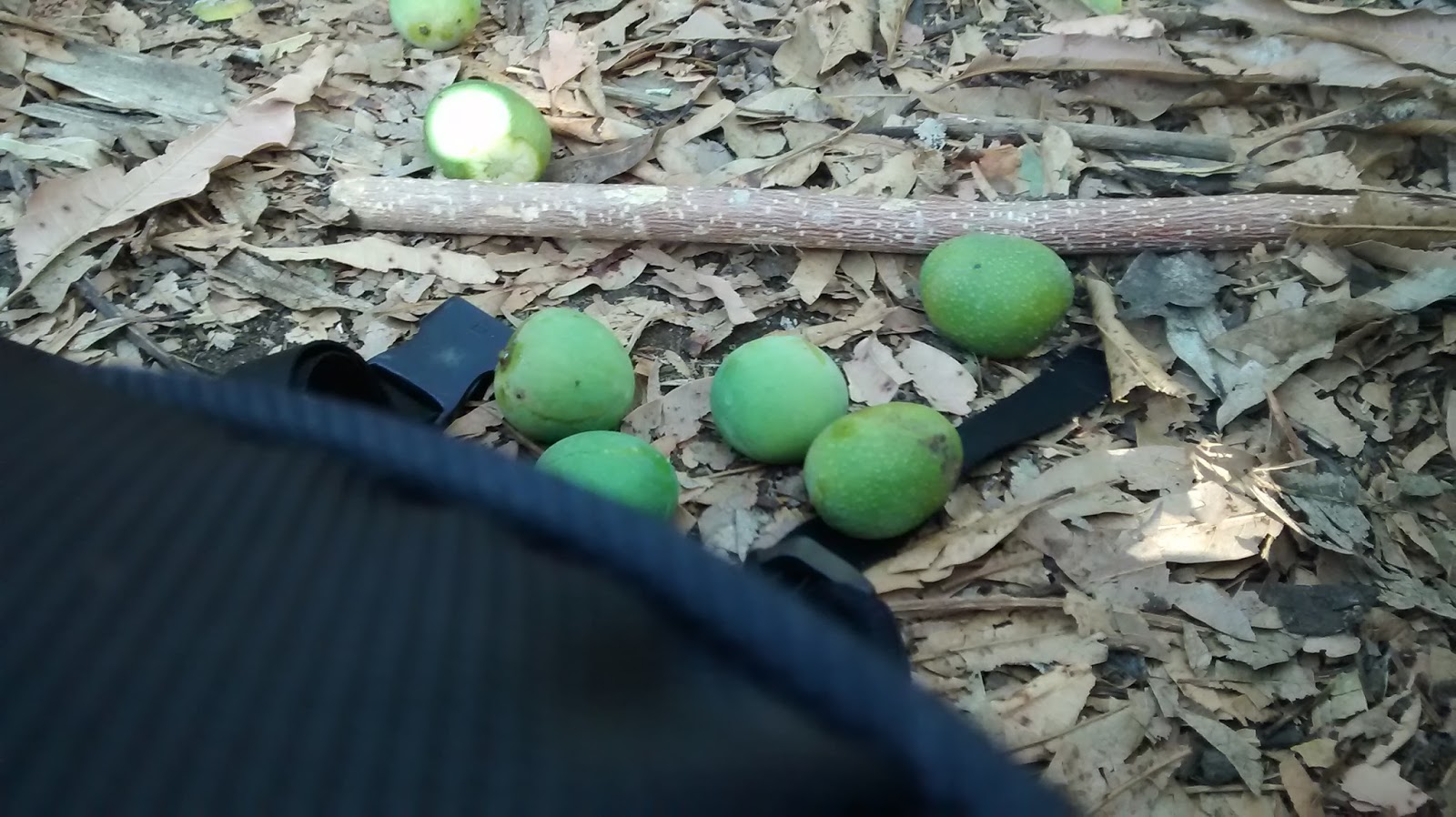 Yash Gaikwad - BHATKANTI: Nasik Range trek- Day I: Fort Achala, Fort ...