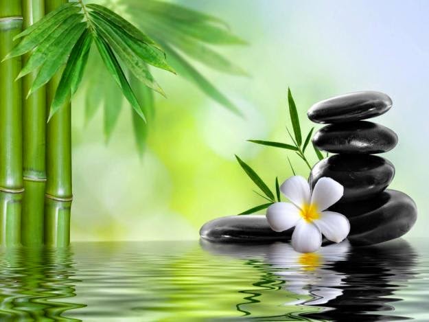 Zen Relaxation Backgrounds: Peaceful Zen