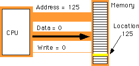 Pengertian Address Bus, Data Bus, Control Bus, Processor