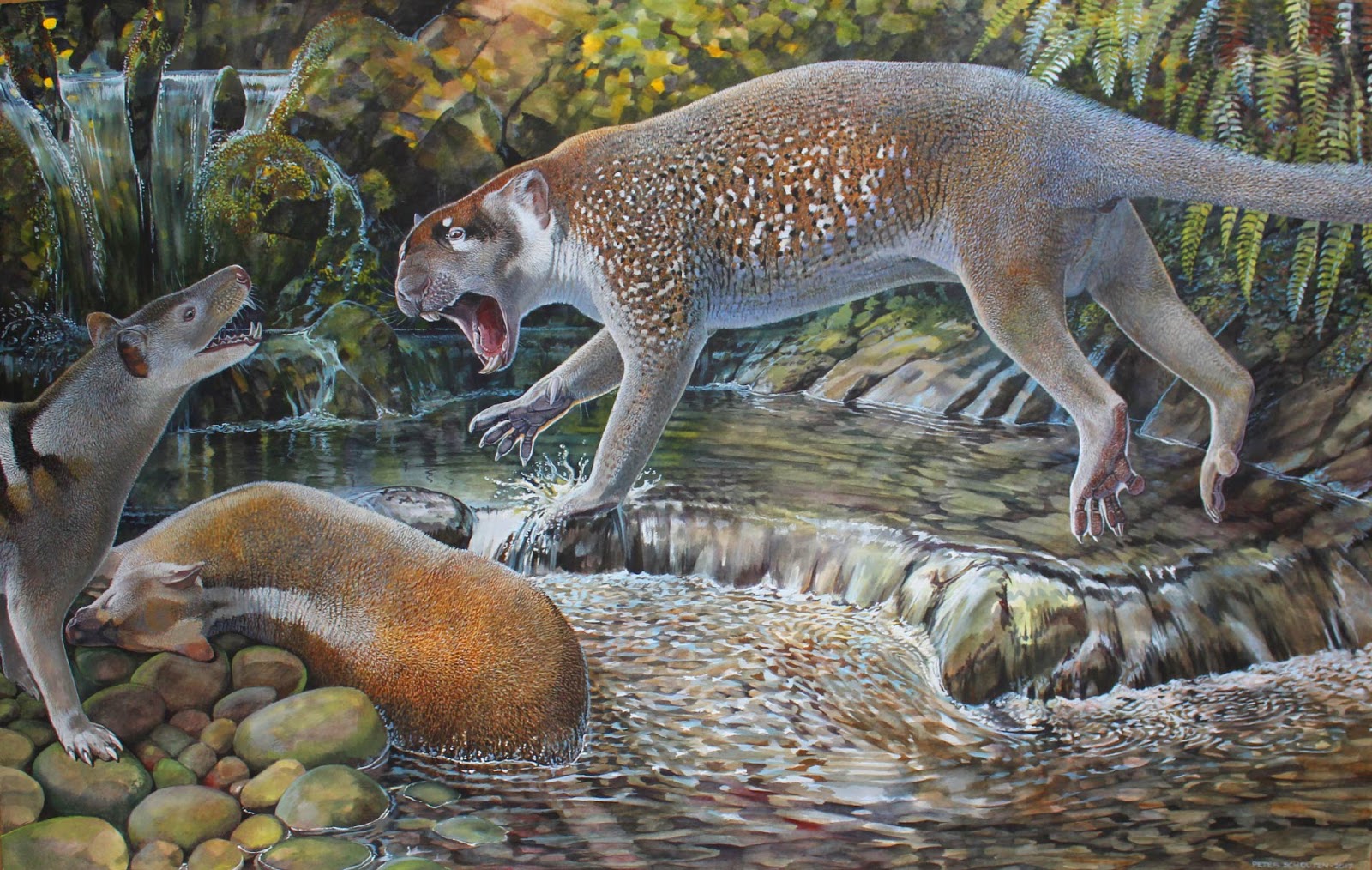 Extinct kangaroo-like lion discovered in Australia