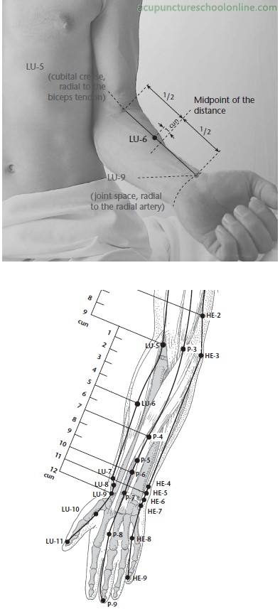 Jarum Sakti: Meridian Paru-paru & Usus Besar