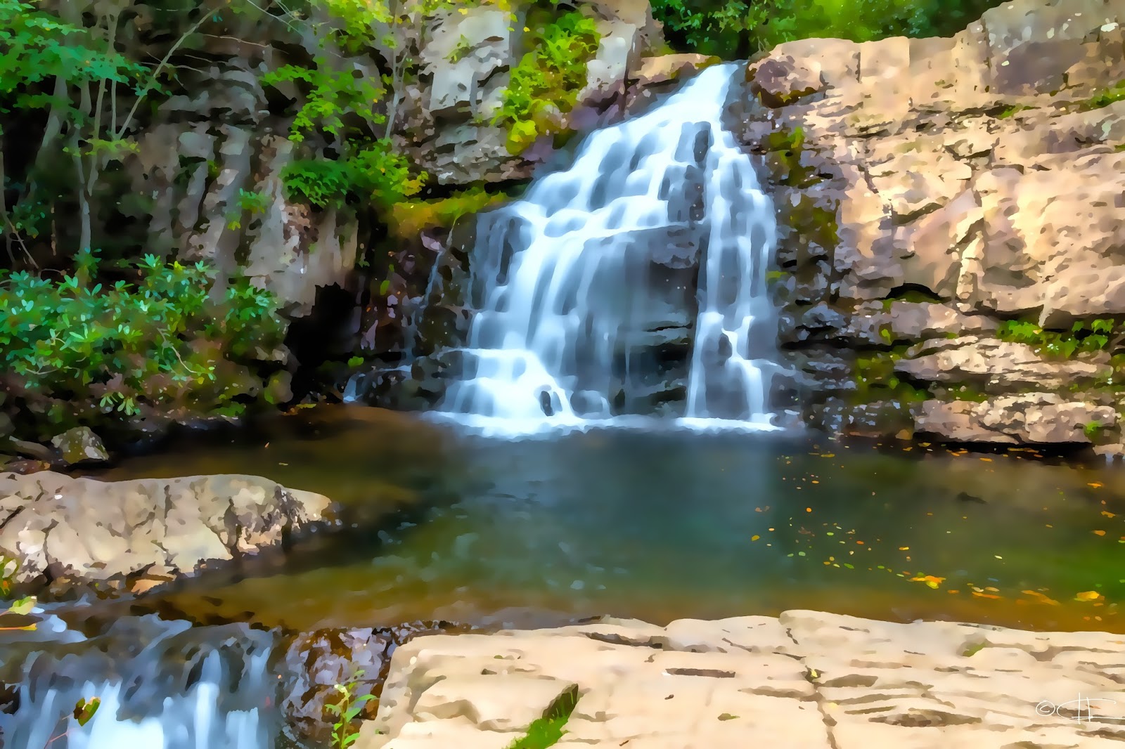 Chris Hollingsworth's Photos