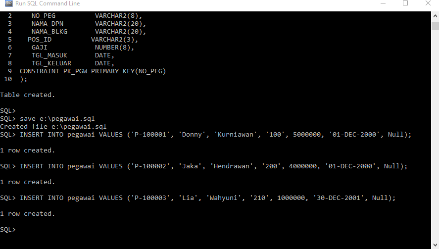 Pengenalan Oracle Database Penggunaan Sintak Dasar - Zoro Tekno