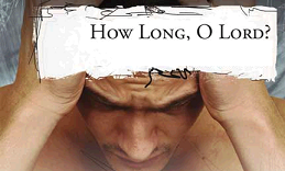 A Concord Pastor Comments: Homily for October 6