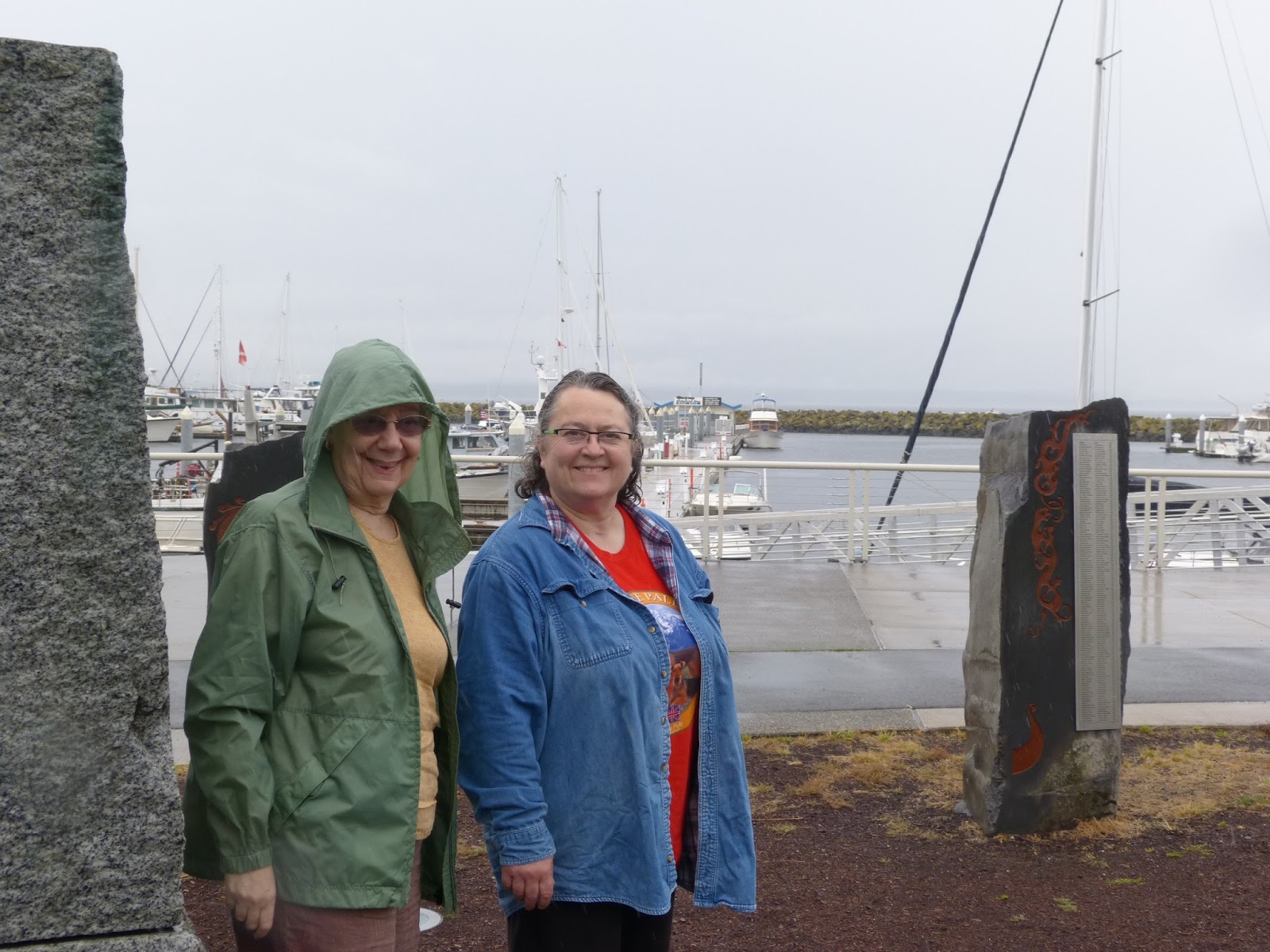 Ray's Retirement: Seattle - the fish ladder