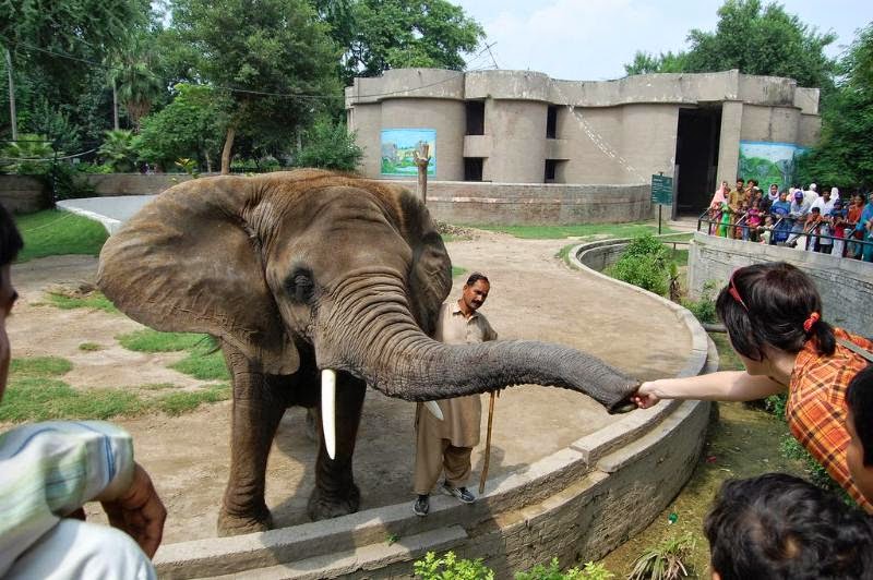 Lahore Zoo