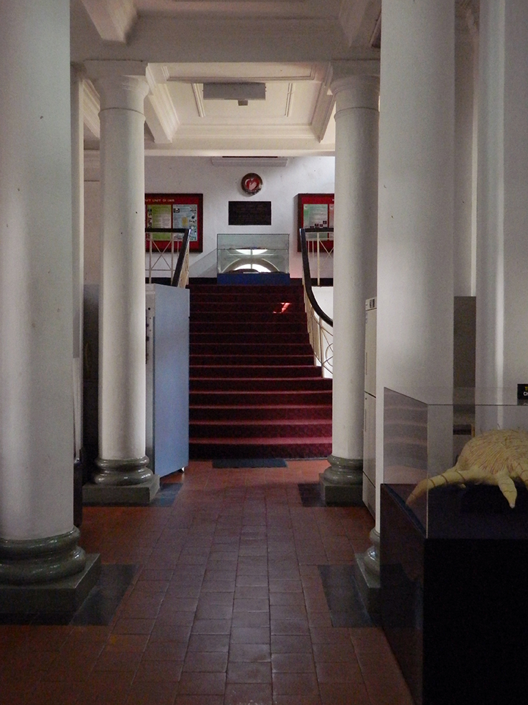 Muzium Bioperubatan, Muzium Yang Dilupakan |MyRokan