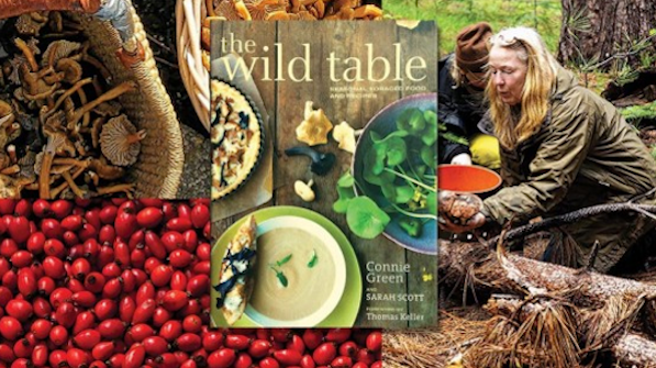 ZEUGMA: Hızla Yayılan Bir Trend: Foraging