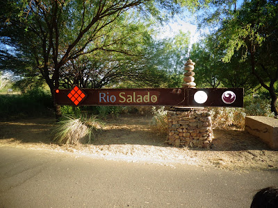 A Hidden Sanctuary in the Heart of Phoenix