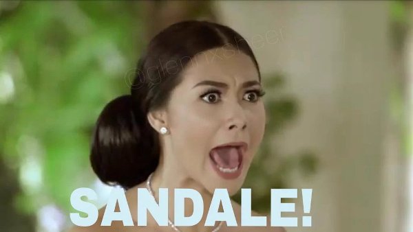 Wildflower memes go viral ~ Pinoy Scoop