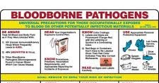 Semonspring2016OHS4300: Blood Borne Pathogens