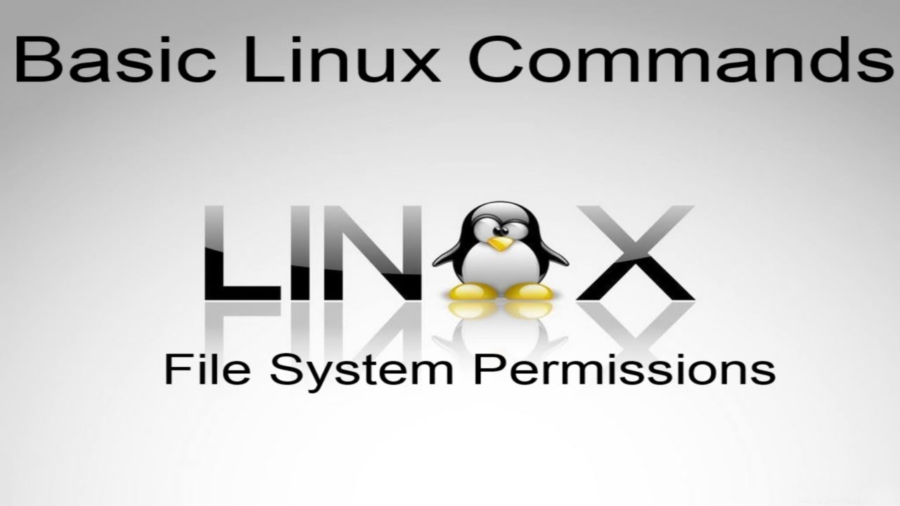 Linux Filesystem Permissions Most Simplified