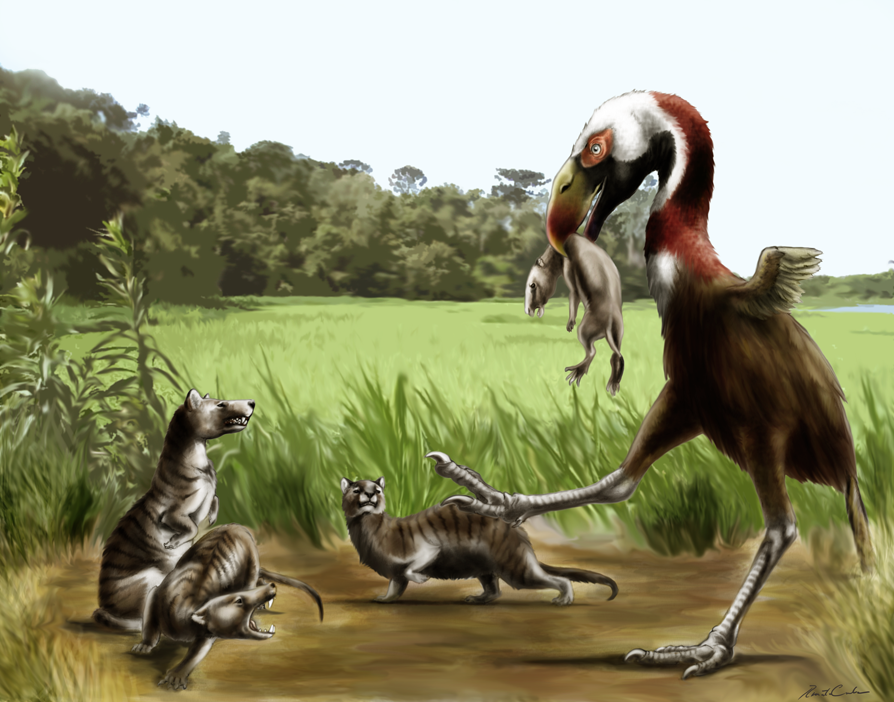 Tetrapod Flight: Flightless birds