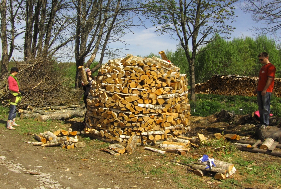 Jan Vutt fotogalerii: Puuriida ladumise talgud Põhjaka mõisas