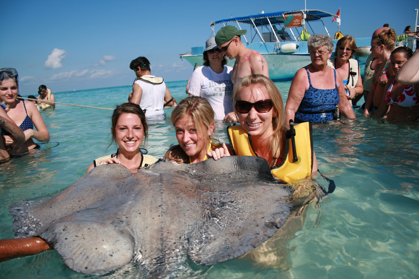 DG Anchors: Stingray Photobomb Starring Three DGs