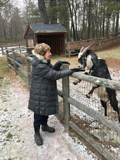 Dispatch from the Digital Health Frontier: Building Unity Farm ...