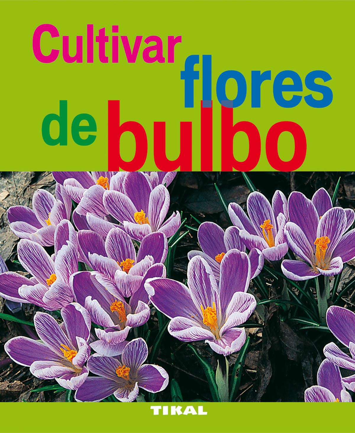 Cultivar flores de bulbo ~ PLANTUKIS