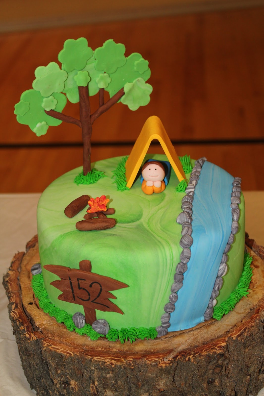 Missy's Cake Studio: Camping Cake