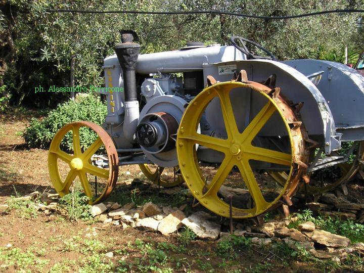 Perricone Dr. Alessandro - Studio Tecnico Agronomico e Ambientale