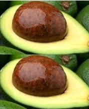 Cuba es Diversa : Dos Semillones a Cuesta