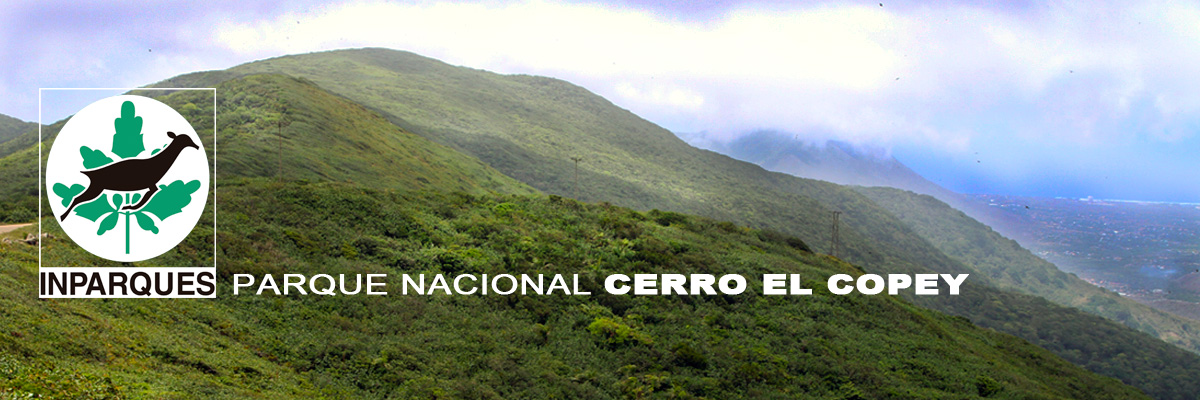 Parque Nacional Cerro El Copey