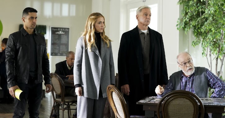 NCIS - Episode 17.09 - IRL - Promo, 2 Sneak Peeks, Promotional Photos ...