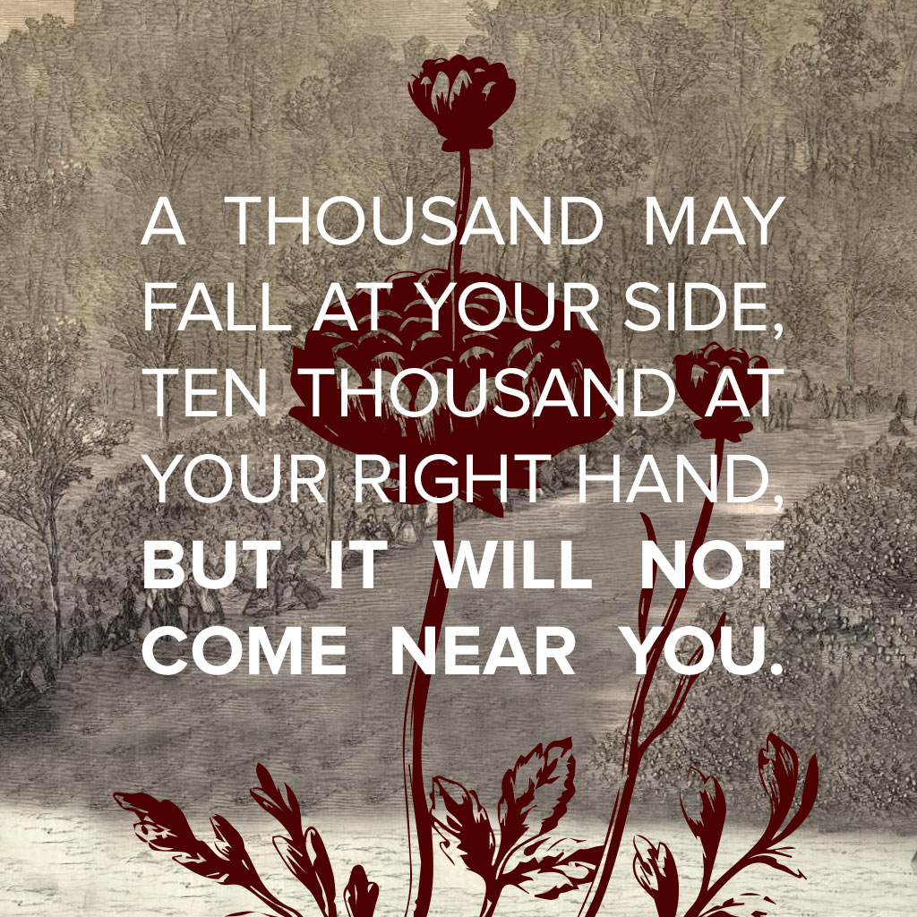 Bears by Grace: A Thousand May Fall At Your Side...