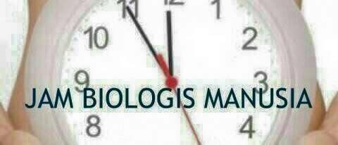 JAM KERJA BIOLOGIS ORGAN TUBUH MANUSIA
