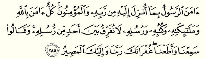 InfoBox: January 2015