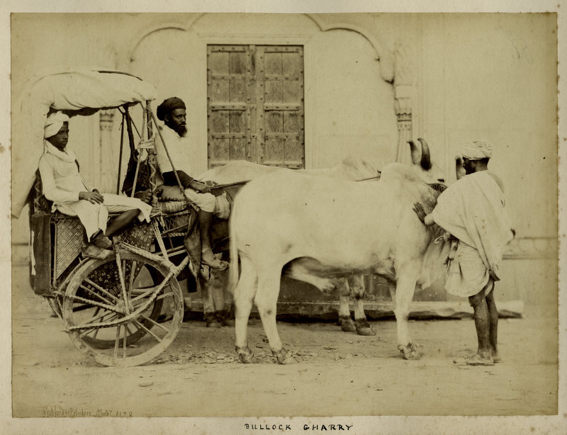 Indian Bullock Cart - c1860's - Old Indian Photos