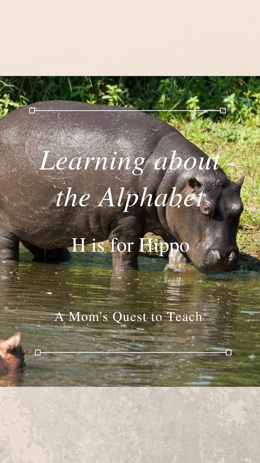 A Mom's Quest to Teach: Learning About the Alphabet: H is for Hippo