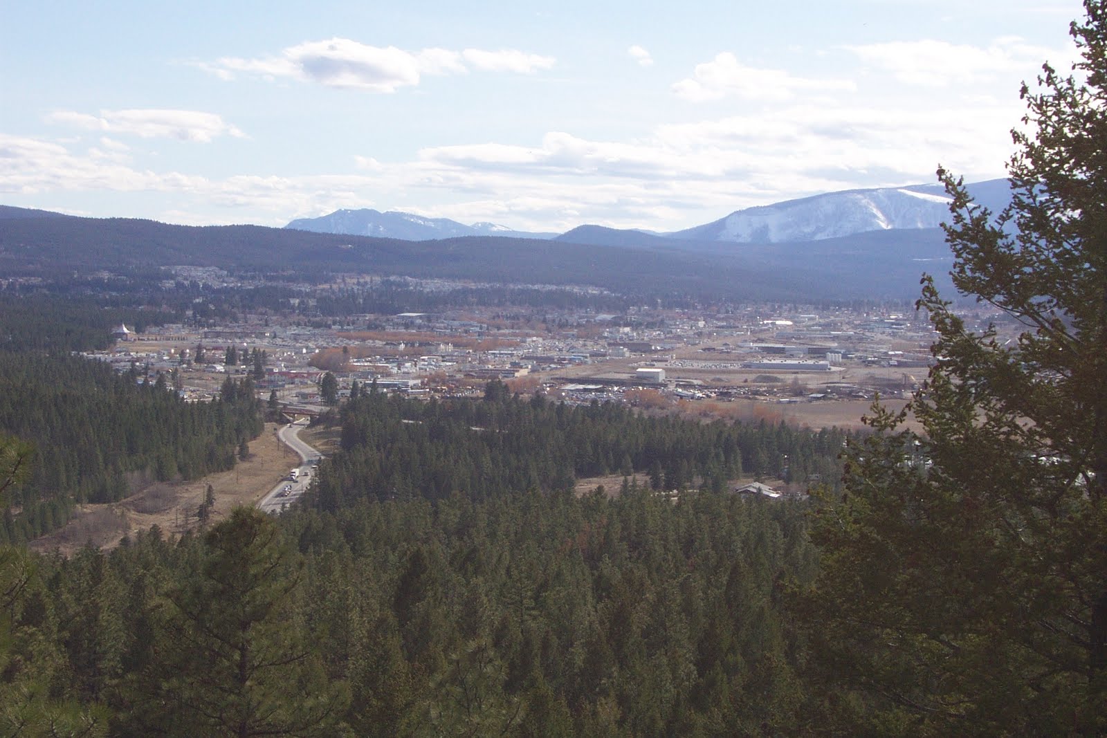 The Cranbrook Guardian: Short Sunday Climb in Cranbrook's Community Forest