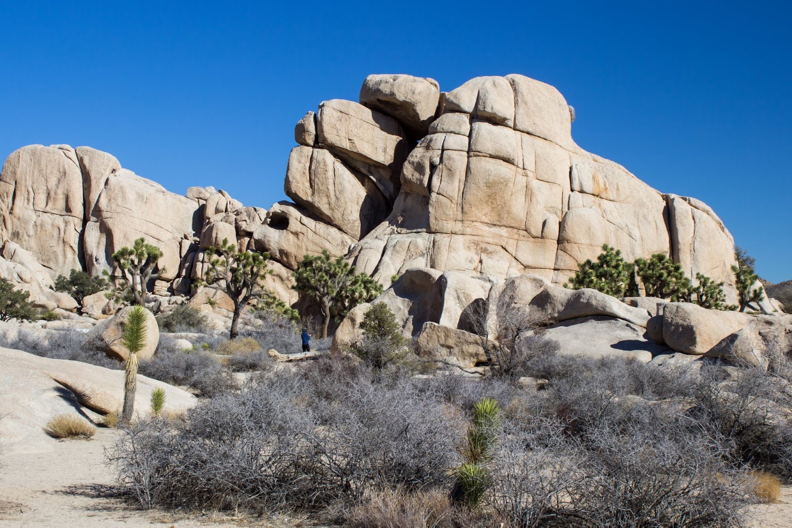 Climbing and Bouldering Mecca at Joshua Tree National Park - Explore ...